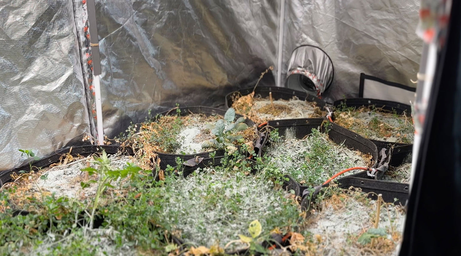 Paramagnetism : The Secret To Hawaii’s Rich Soil & How to Increase Par ...